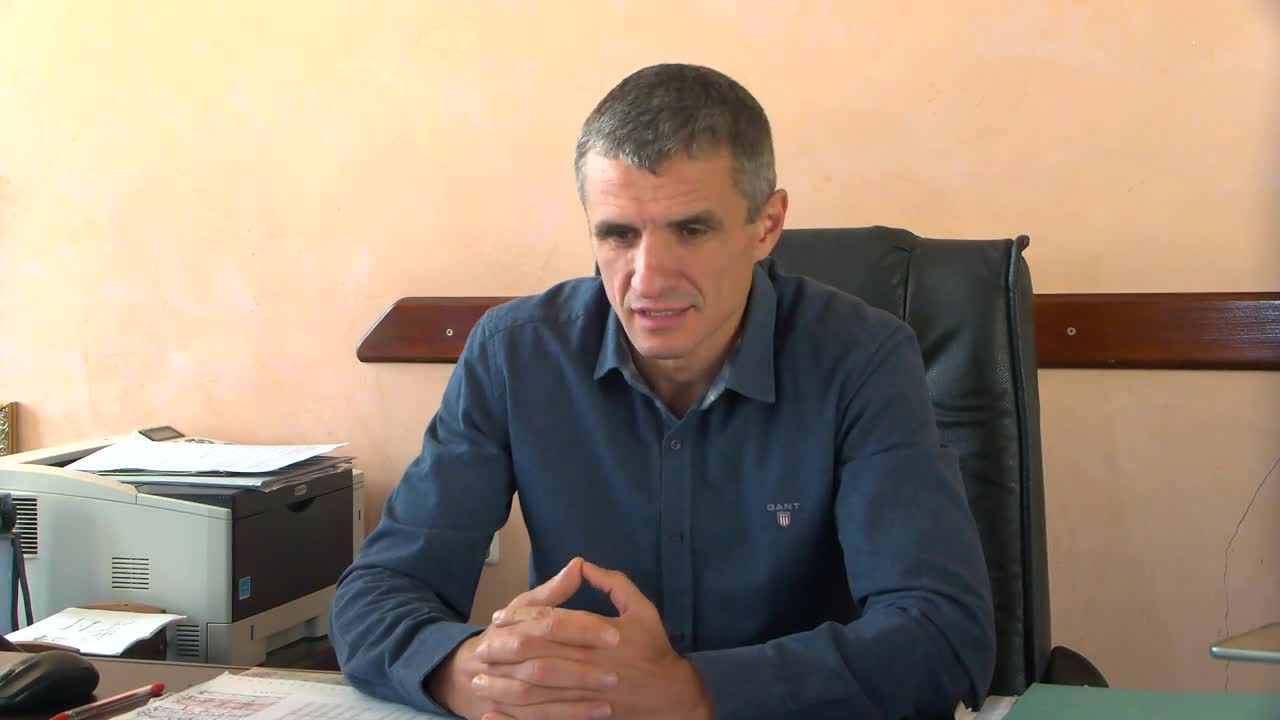 videos.botevgrad.com :: Дървата се оказаха едни от най-ценните неща тази година и най-евтиното ...