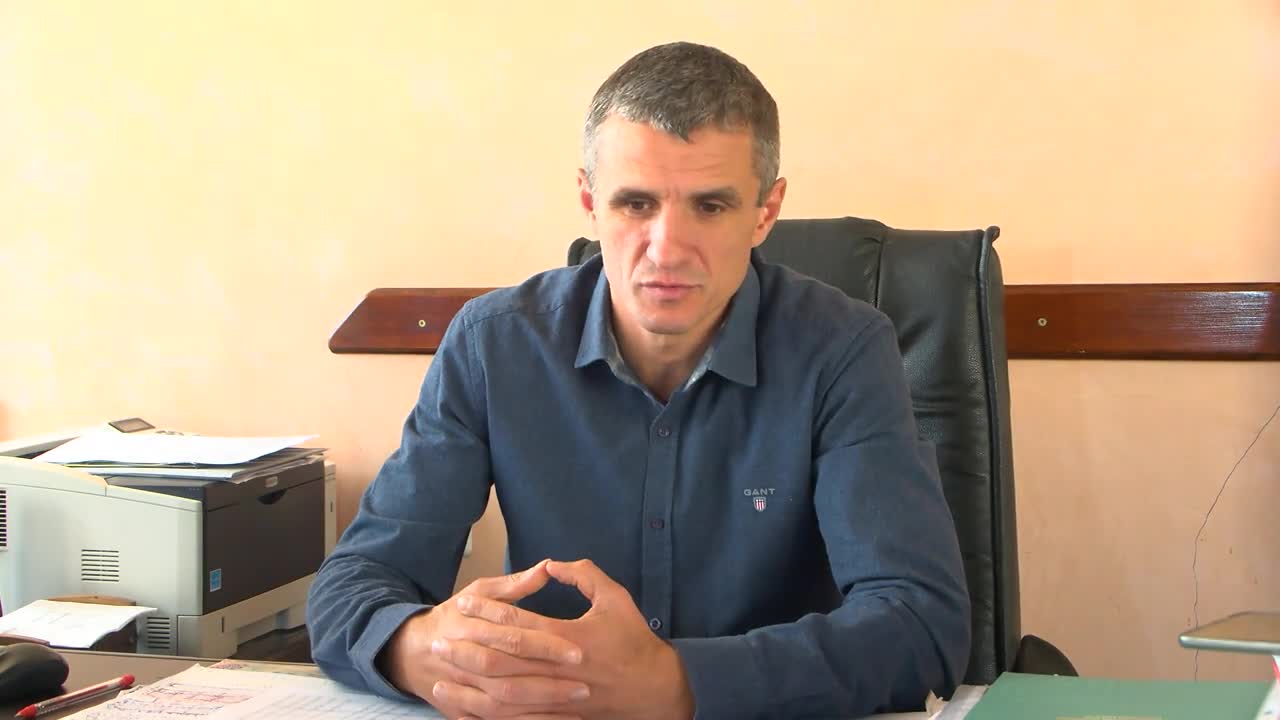 videos.botevgrad.com :: Дървата се оказаха едни от най-ценните неща тази година и най-евтиното ...